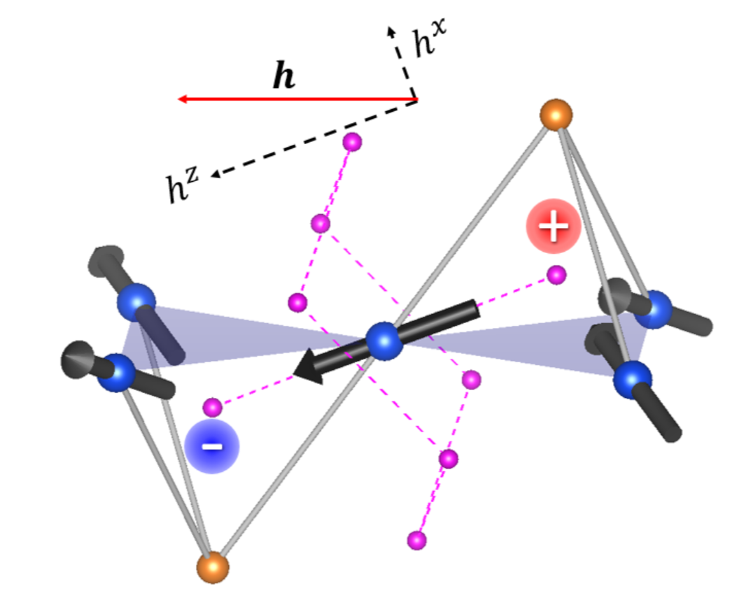 Quantum spin fragmentation – Joe Paddison